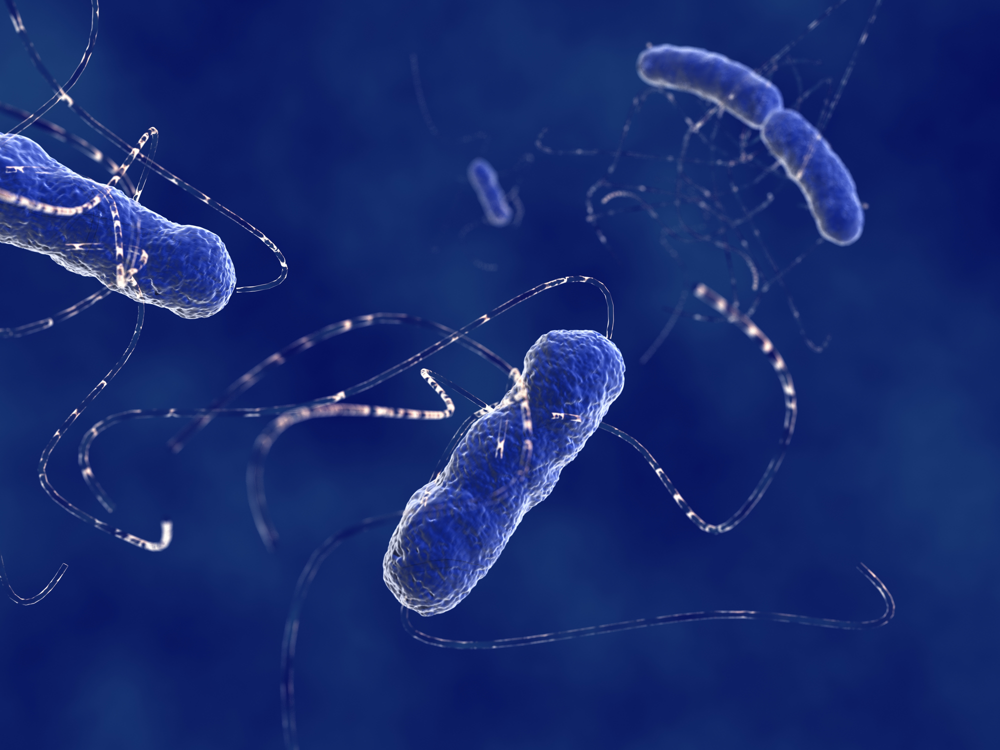 Diagnostics for bacterial infection published in Scientific Reports | CDDR
