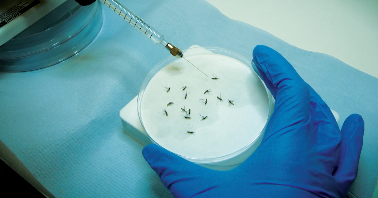 LITE: Liverpool Insect Testing Establishment | CDDR